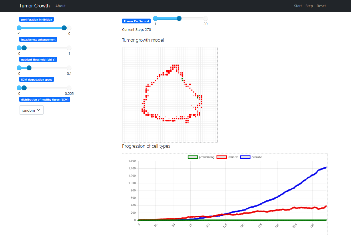 tumor-dynamics-abm.tumor API documentation